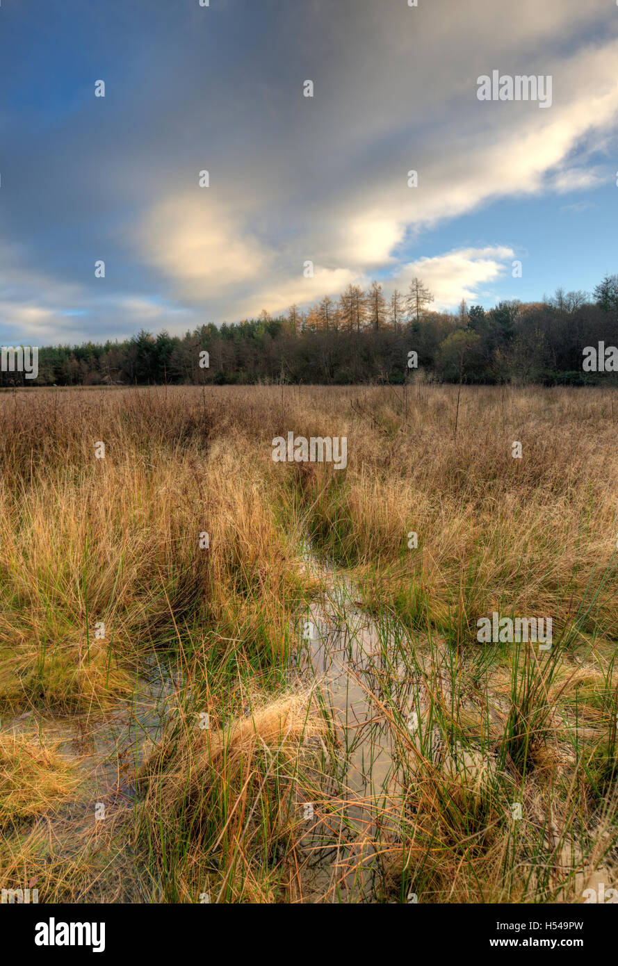 British seasons - Autumn in the Forest of Dean and Wye Valley Stock ...