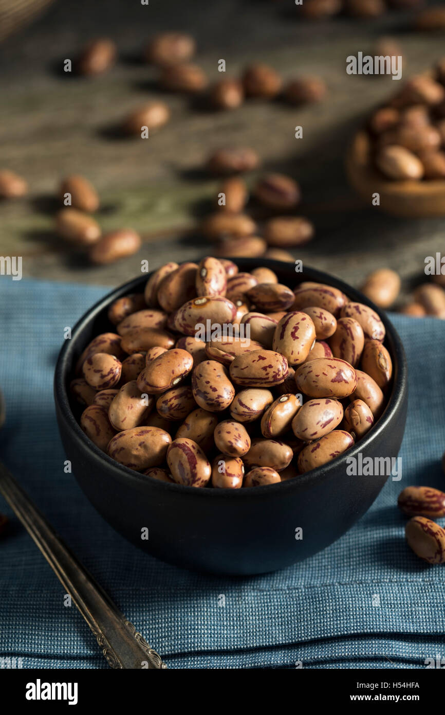 Healthy Raw Organic Cranberry Beans Ready to Cook Stock Photo - Alamy