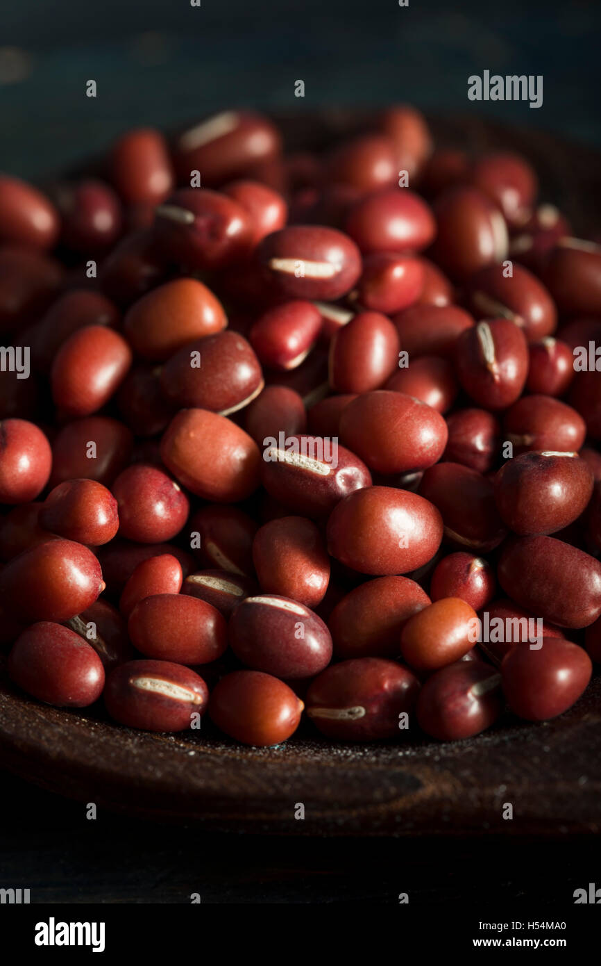 Raw Organic Red Adzuki Beans in a Bowl Stock Photo - Alamy