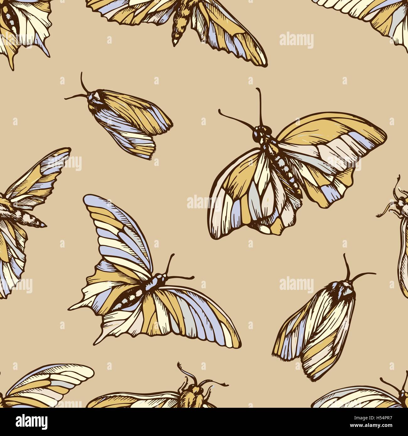 Vector seamless pattern with colorful butterflies . Stylish graphic ...