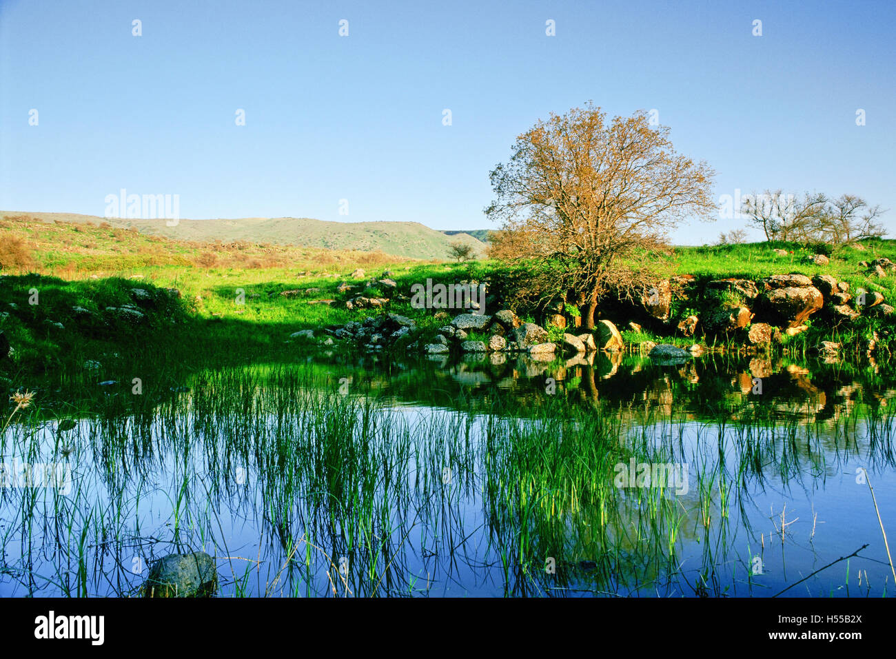 Colors of the fading day Stock Photo - Alamy