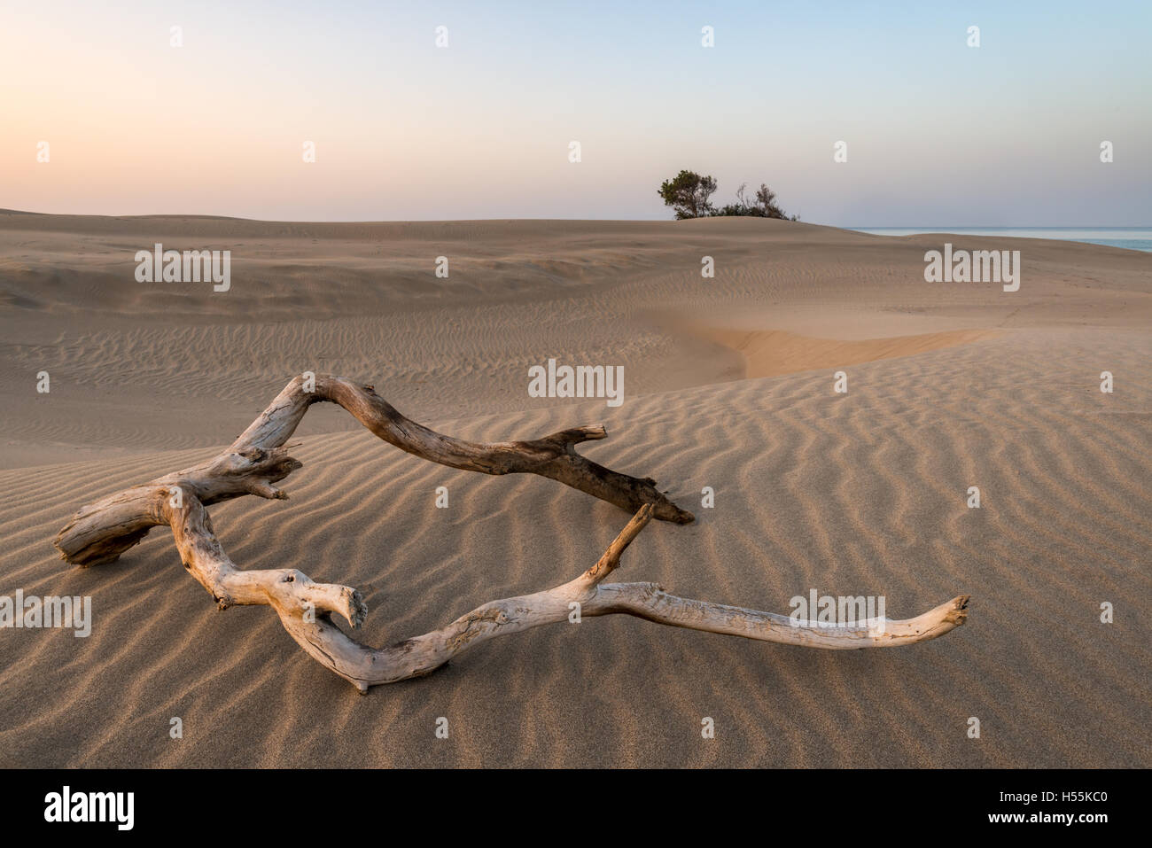 amazing desert view in sunset time Stock Photo - Alamy