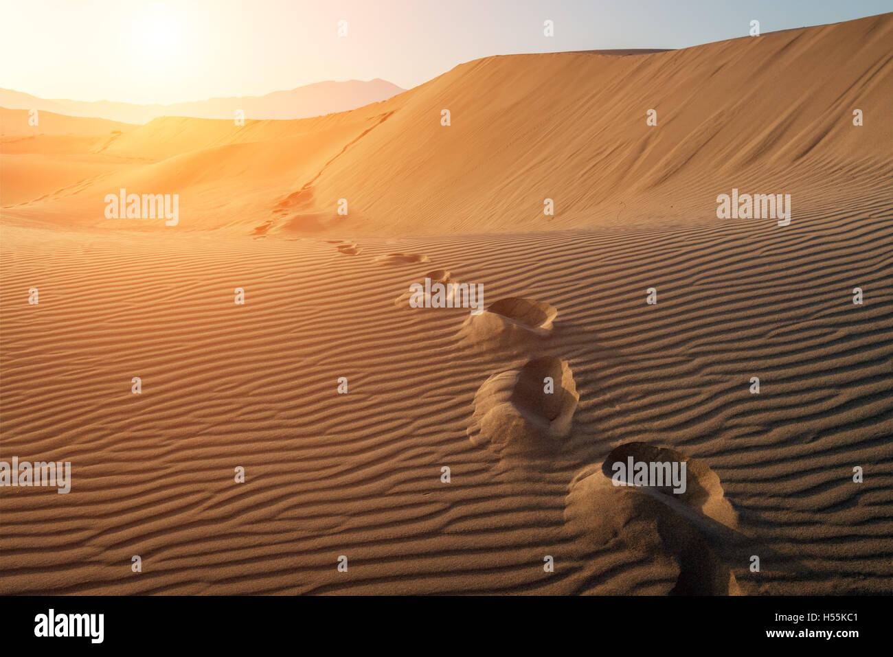 amazing desert view in sunset time Stock Photo - Alamy