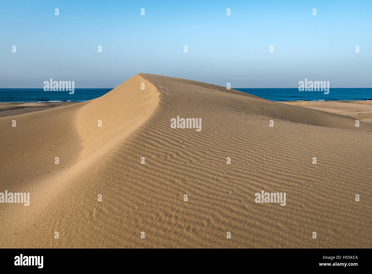 amazing desert view in sunset time Stock Photo - Alamy