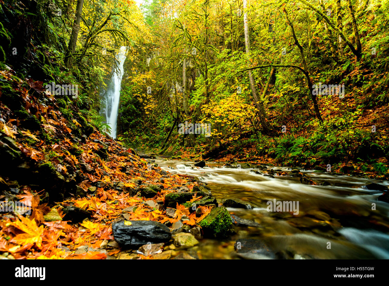 Goldstream Niagara waterfalls in Victoria series - Wonderful Niagara ...