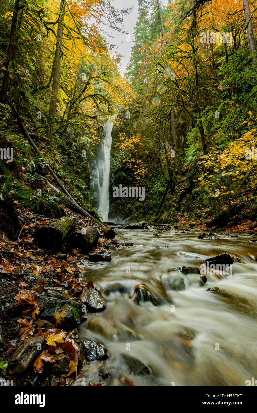Goldstream Niagara waterfalls in Victoria series - Wonderful Niagara ...