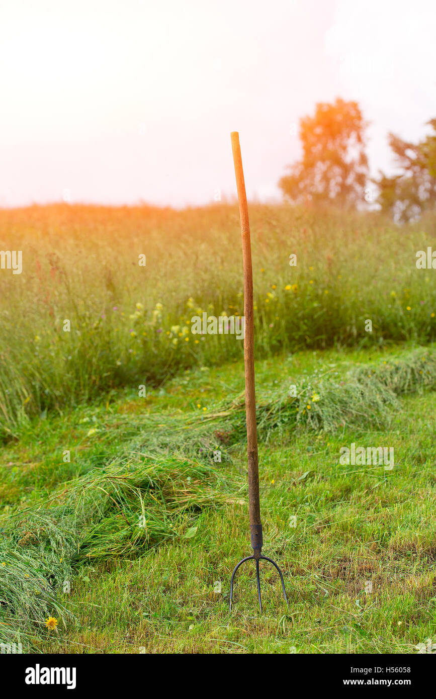 Pitchfork Hay