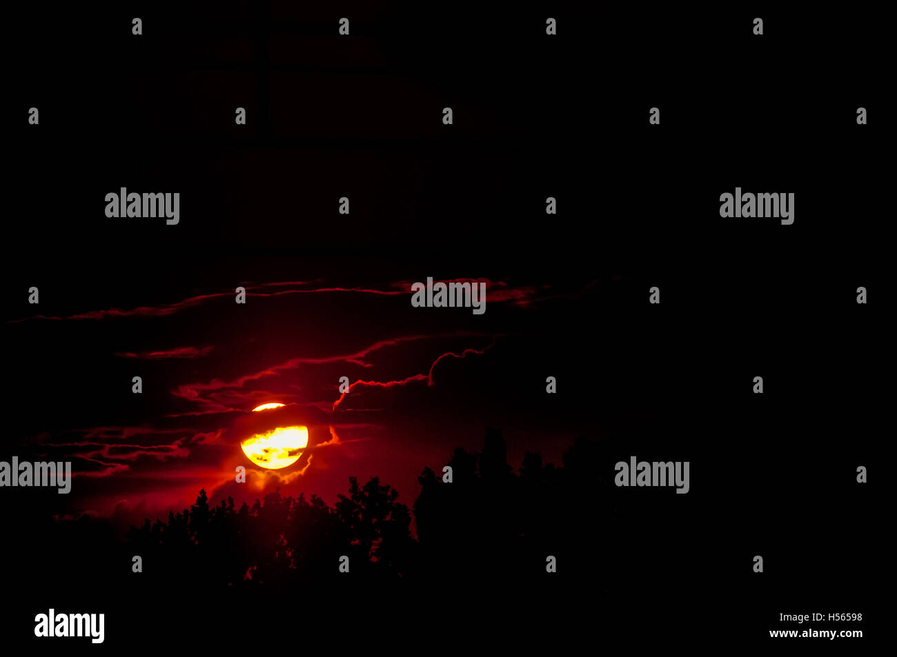 Red sun setting through the clouds in the woods with lots of black ...