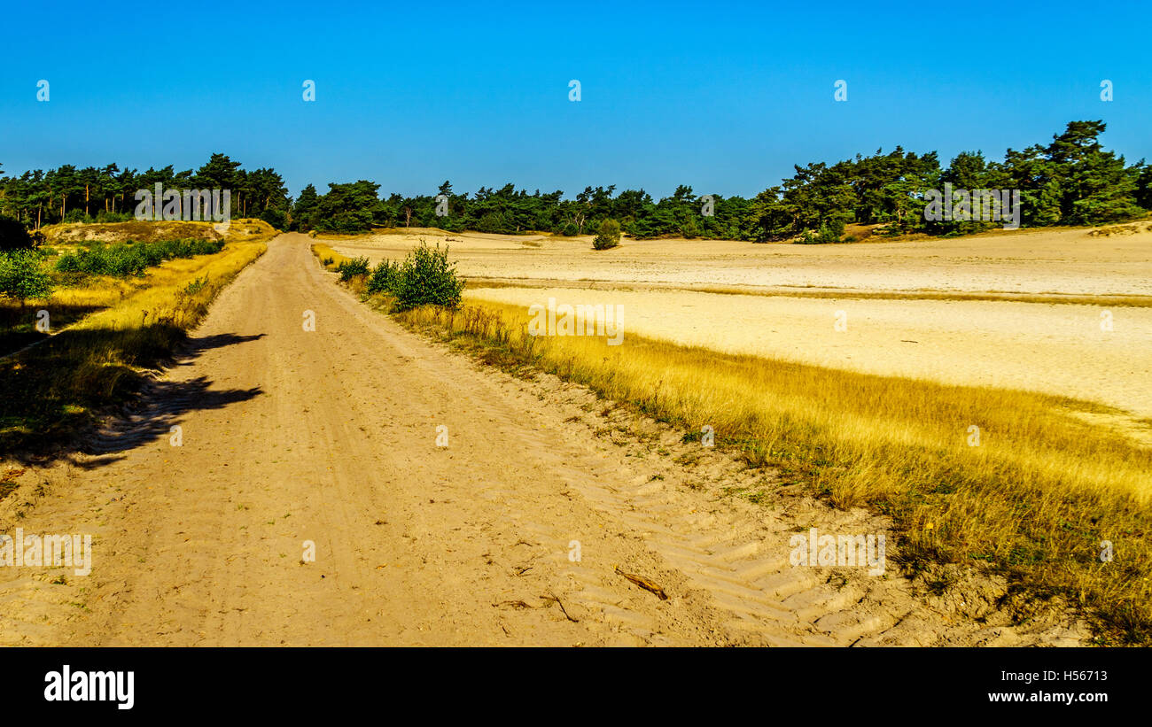 Sand mini hi-res stock photography and images - Alamy