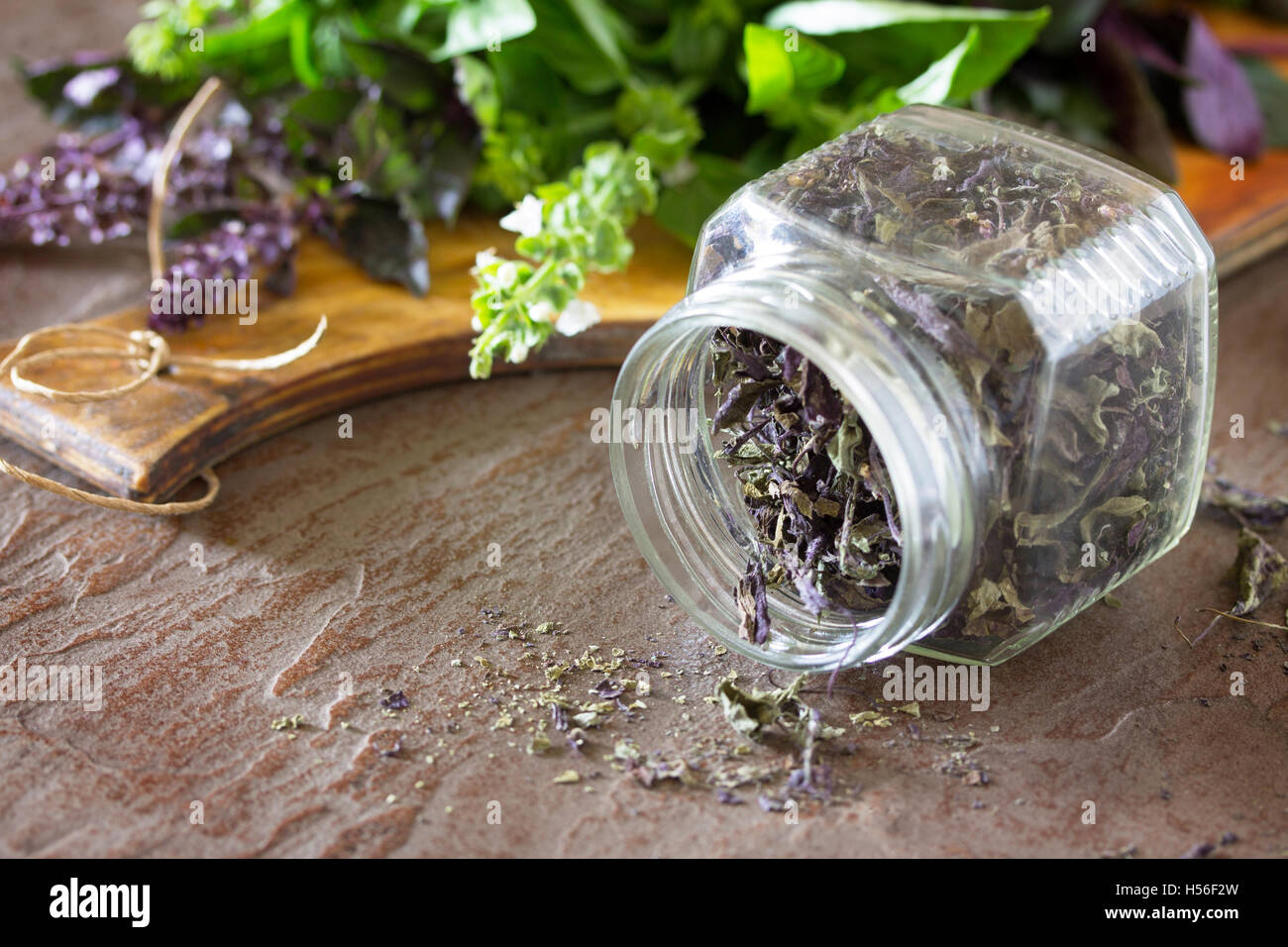 Purple basil in pot hi-res stock photography and images - Alamy