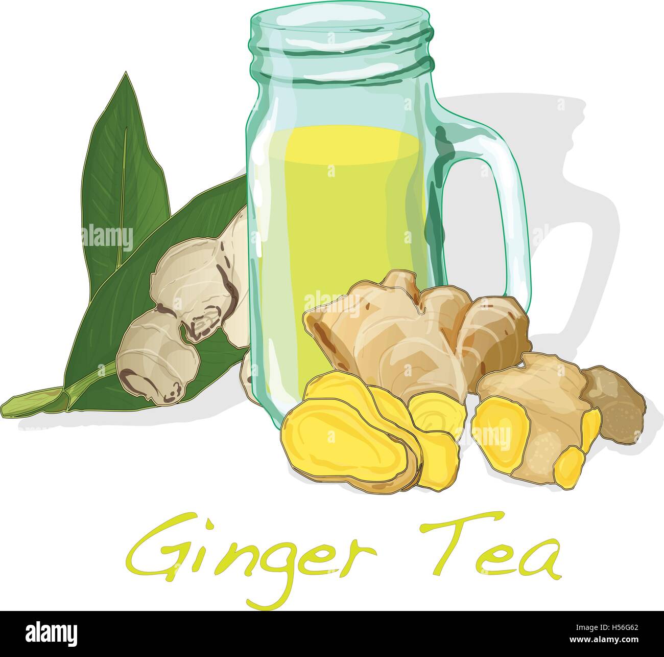 ginger tea vector illustration isolated Stock Vector Image & Art - Alamy