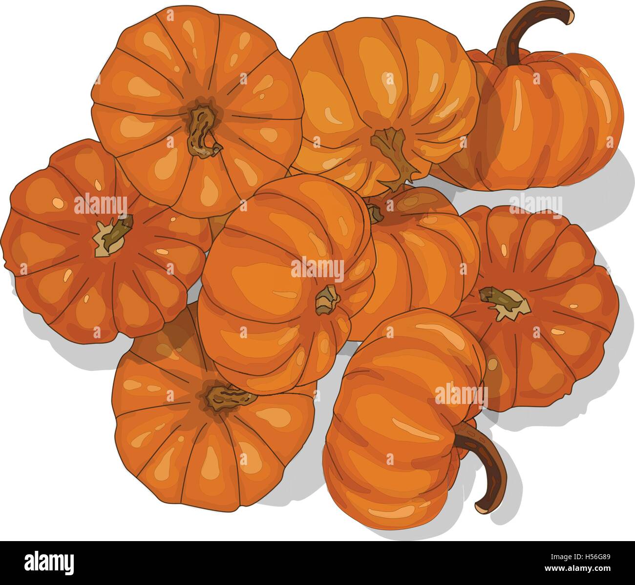 Pumpkin set. Vector illustration isolated Stock Vector Image & Art - Alamy