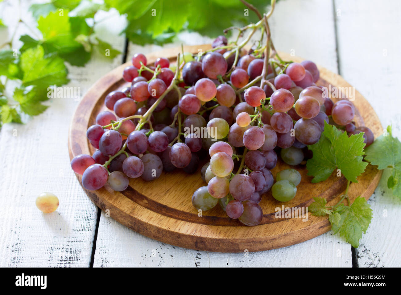 Grape harvest assortment on white wooden on a table Stock Photo - Alamy