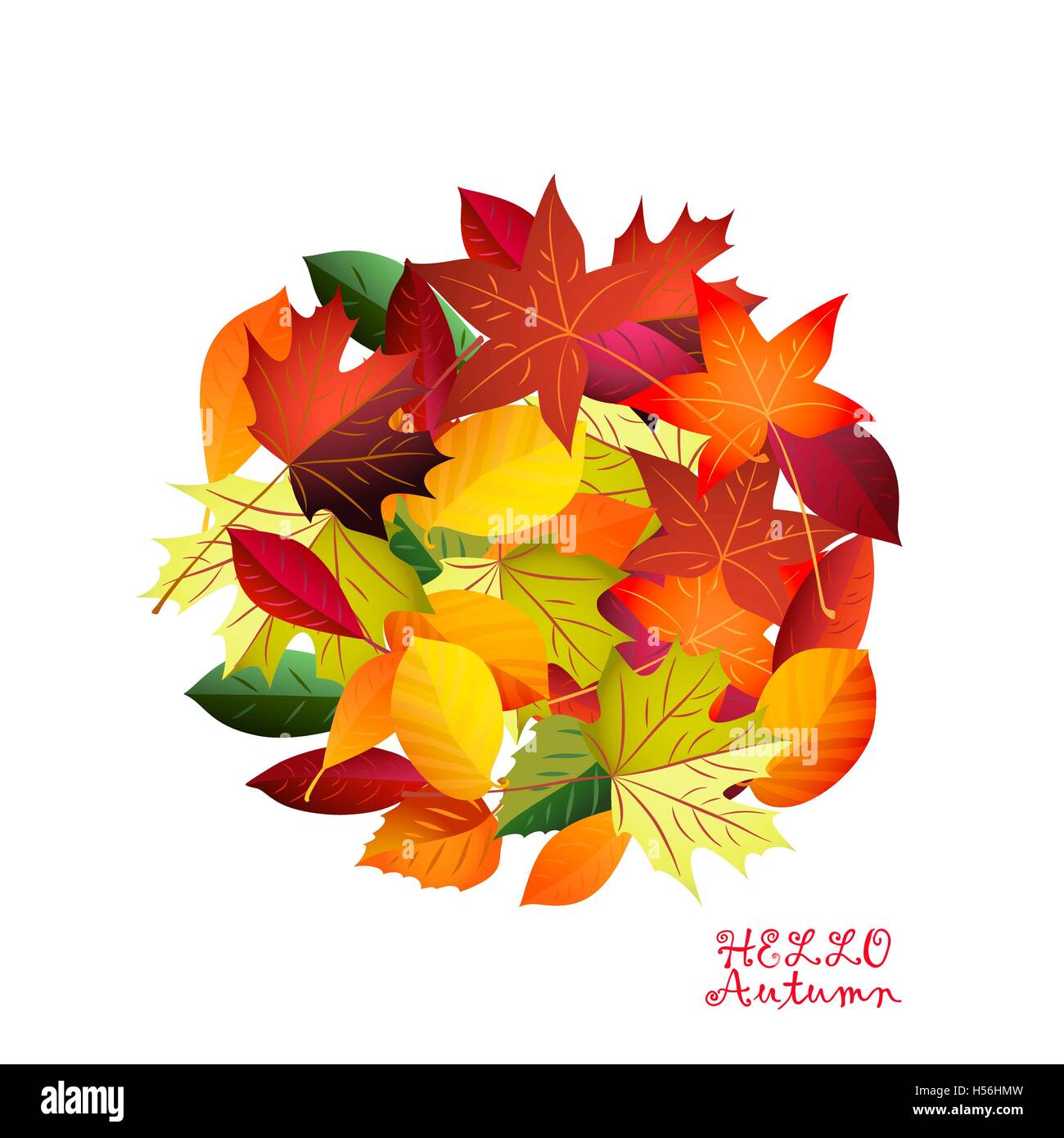 Fallen dry autumn leaf Stock Vector Images - Alamy