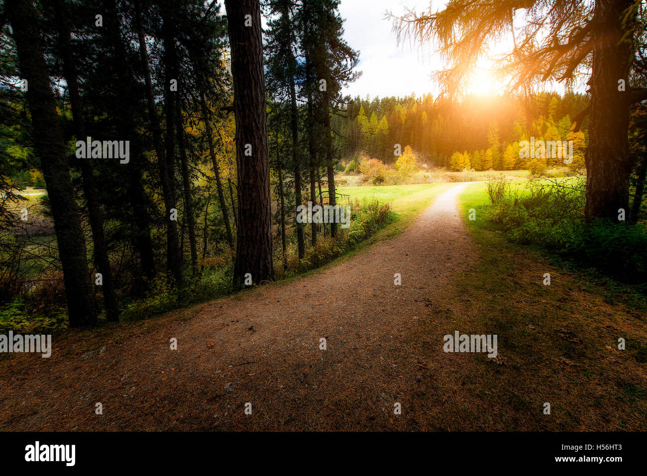Small country road Stock Photo - Alamy