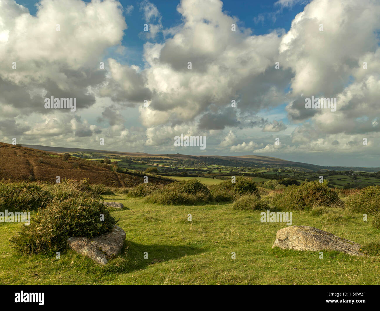 Landscape depicting moorland near Corndon and Lettaford on a bright ...