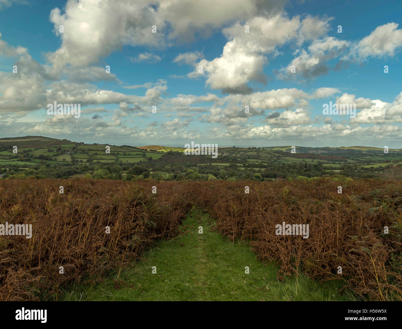 Landscape depicting moorland near Corndon and Lettaford on a bright ...