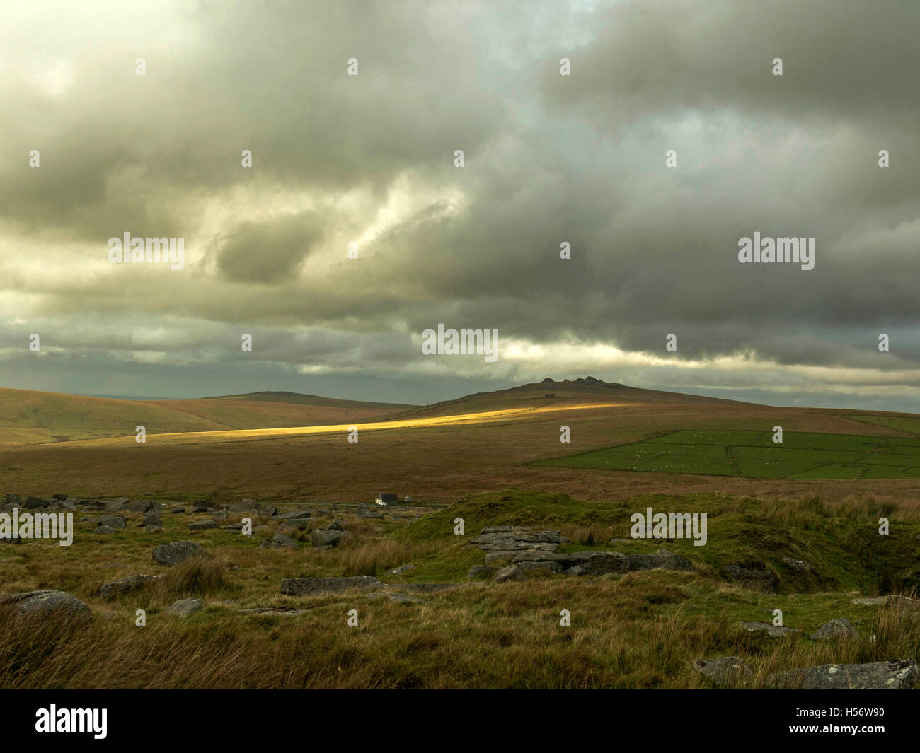 Autumn storm clouds gather overhead while a sunbeam lights up Roos Tor ...