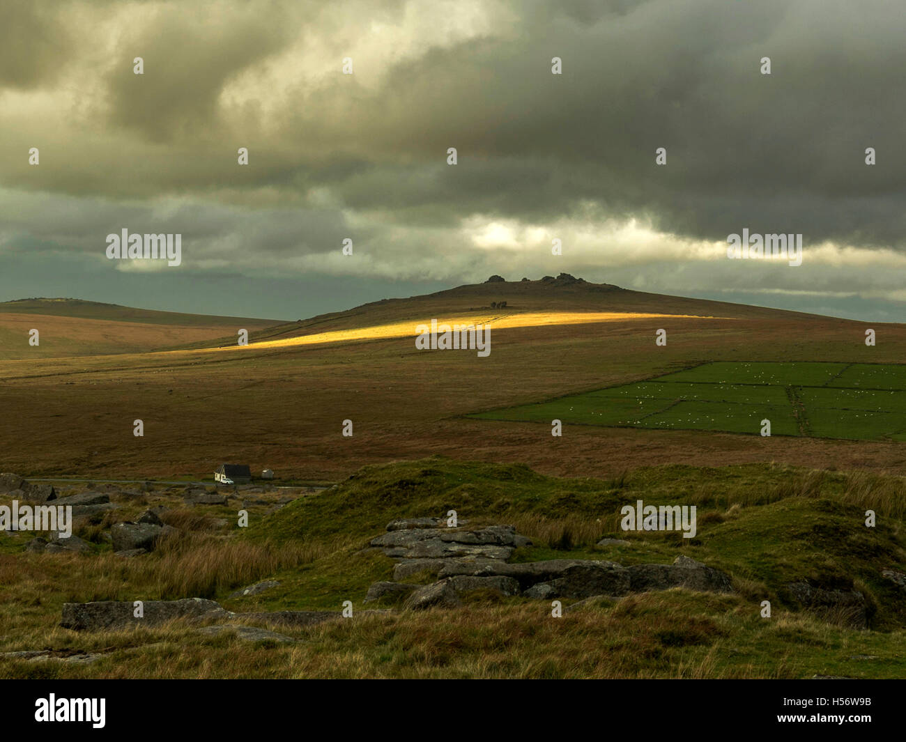 Autumn storm clouds gather overhead while a sunbeam lights up Roos Tor ...