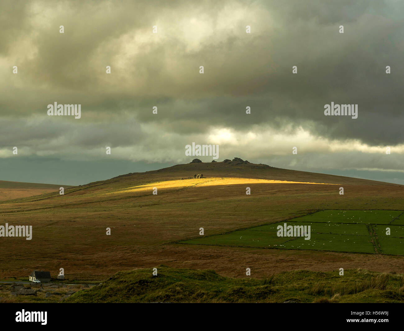 Autumn storm clouds gather overhead while a sunbeam lights up Roos Tor ...