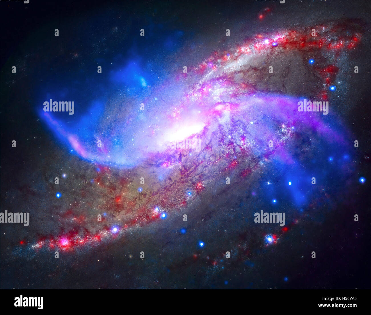 Constellation canes venatici hi-res stock photography and images - Alamy