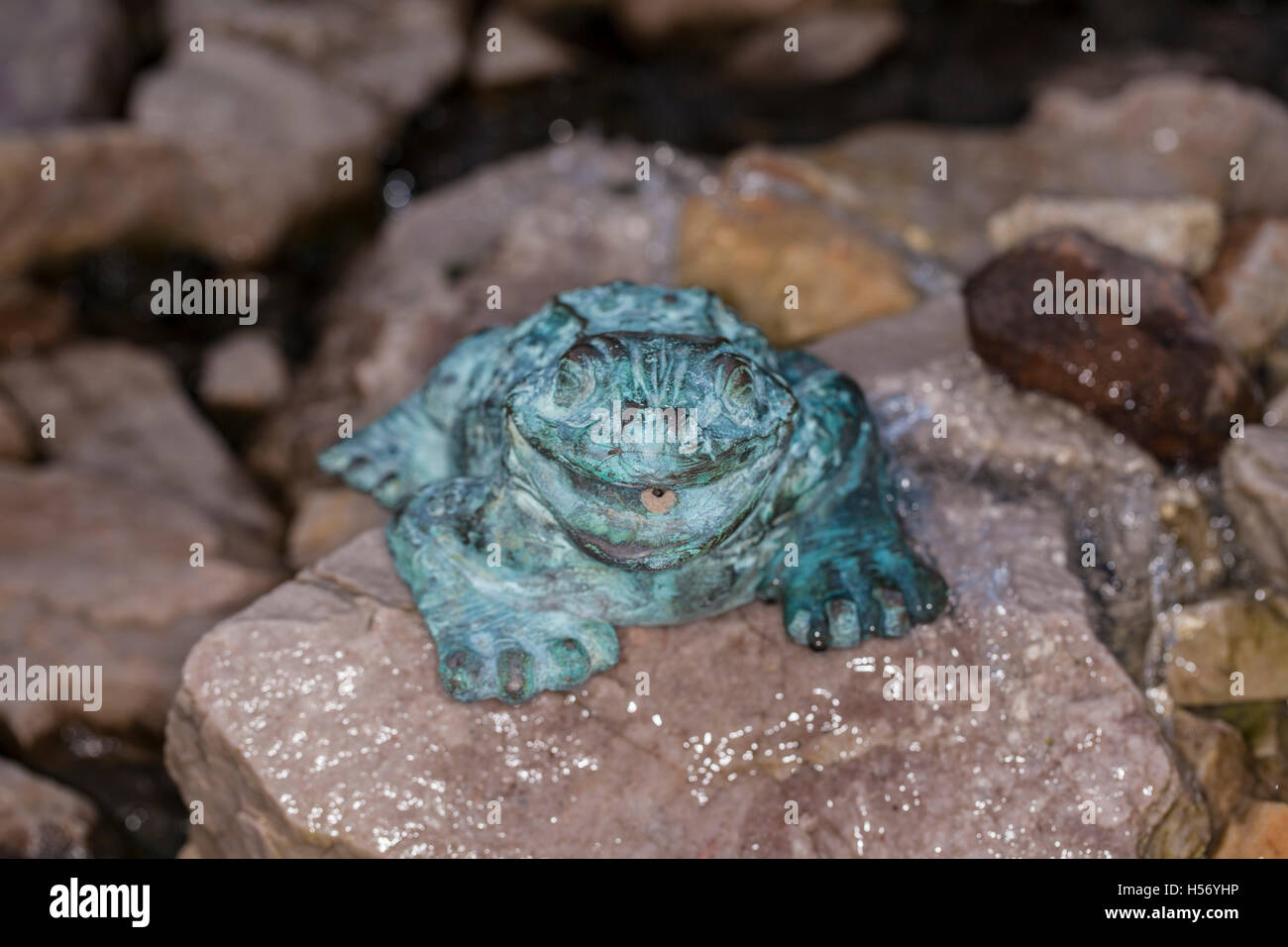 large copper frog sitting on a stone Stock Photo - Alamy
