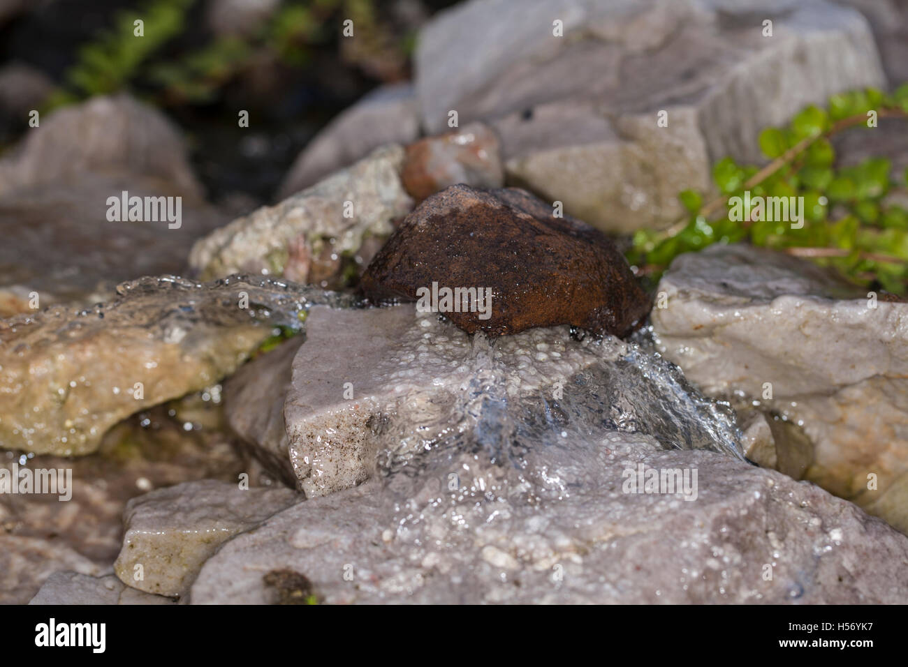 Water flowing out of the stone Stock Photo - Alamy