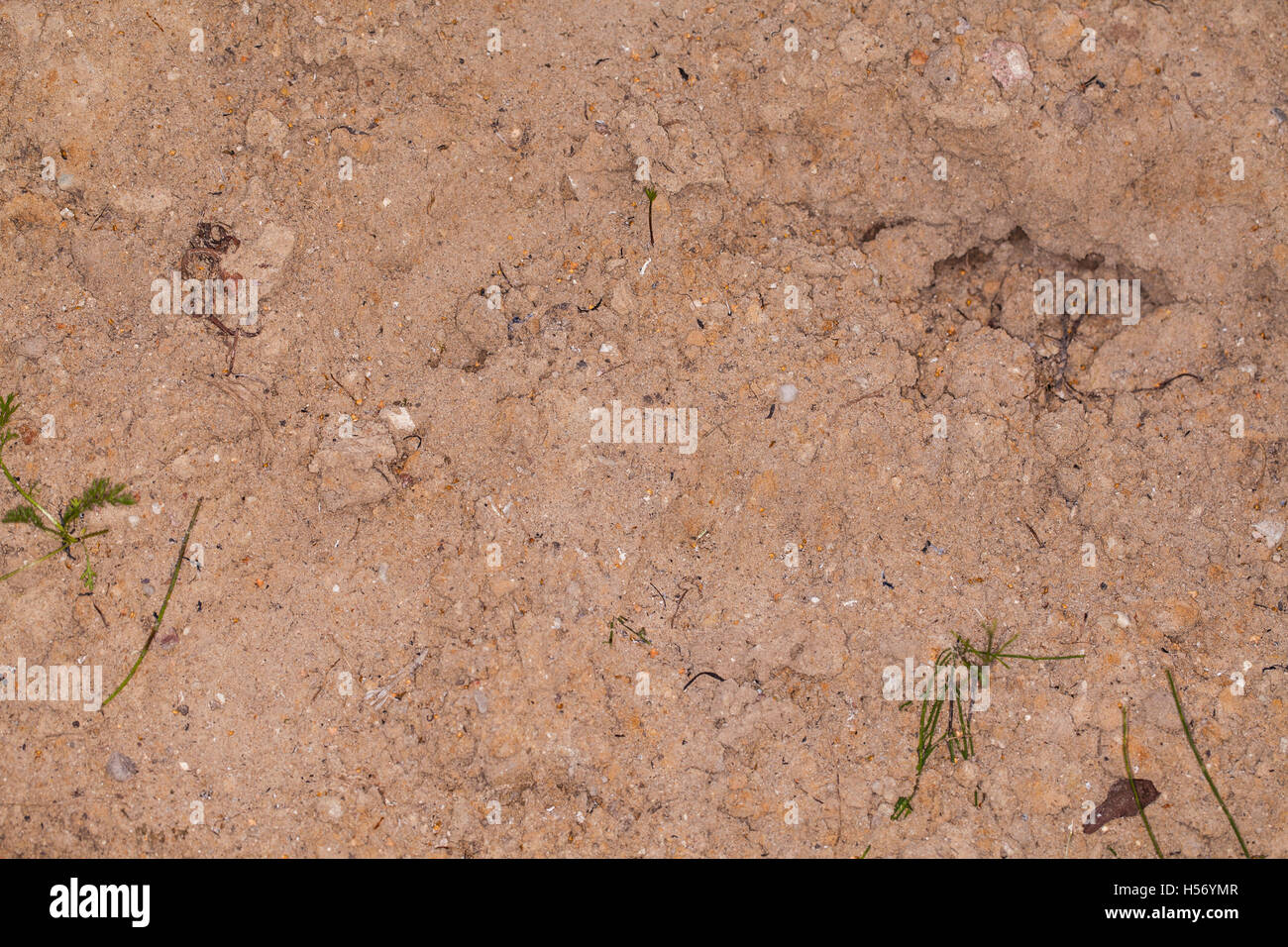 Yellow mud layer hi-res stock photography and images - Alamy