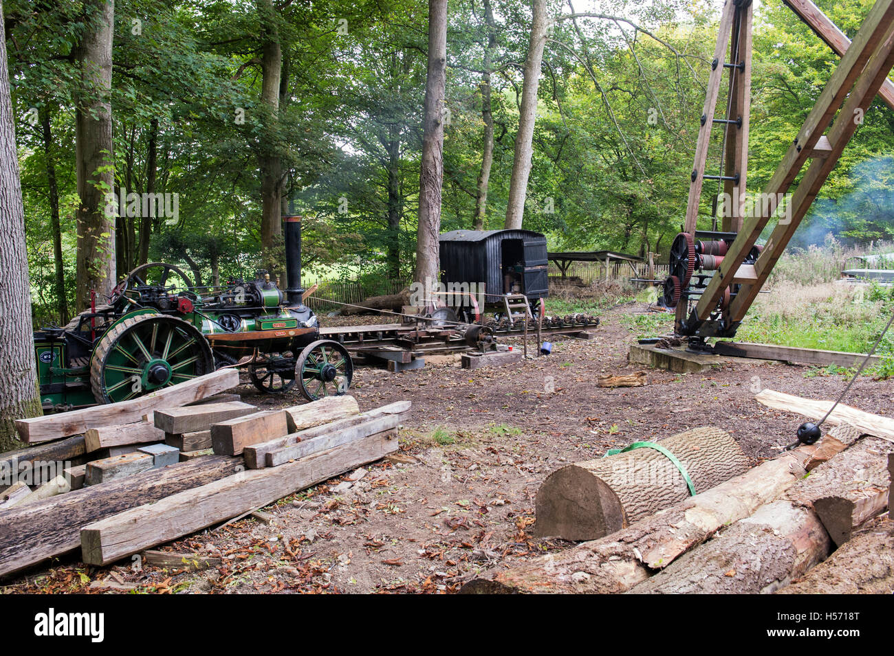 Working woodyard hi-res stock photography and images - Alamy
