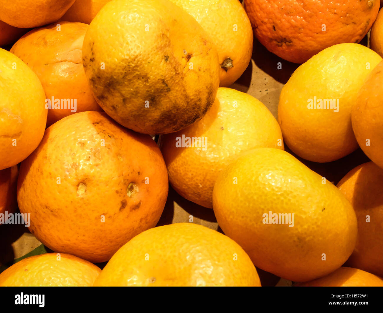 Rotten oranges hi-res stock photography and images - Alamy