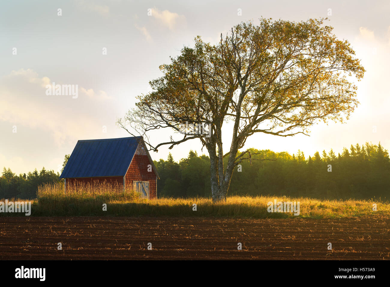 Sunrise over farm field hi-res stock photography and images - Alamy
