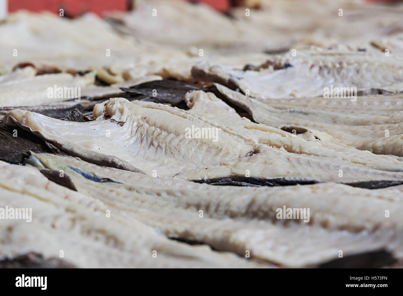 Cod fish drying on a rack in the sun at a Newfoundland, Canada outport ...