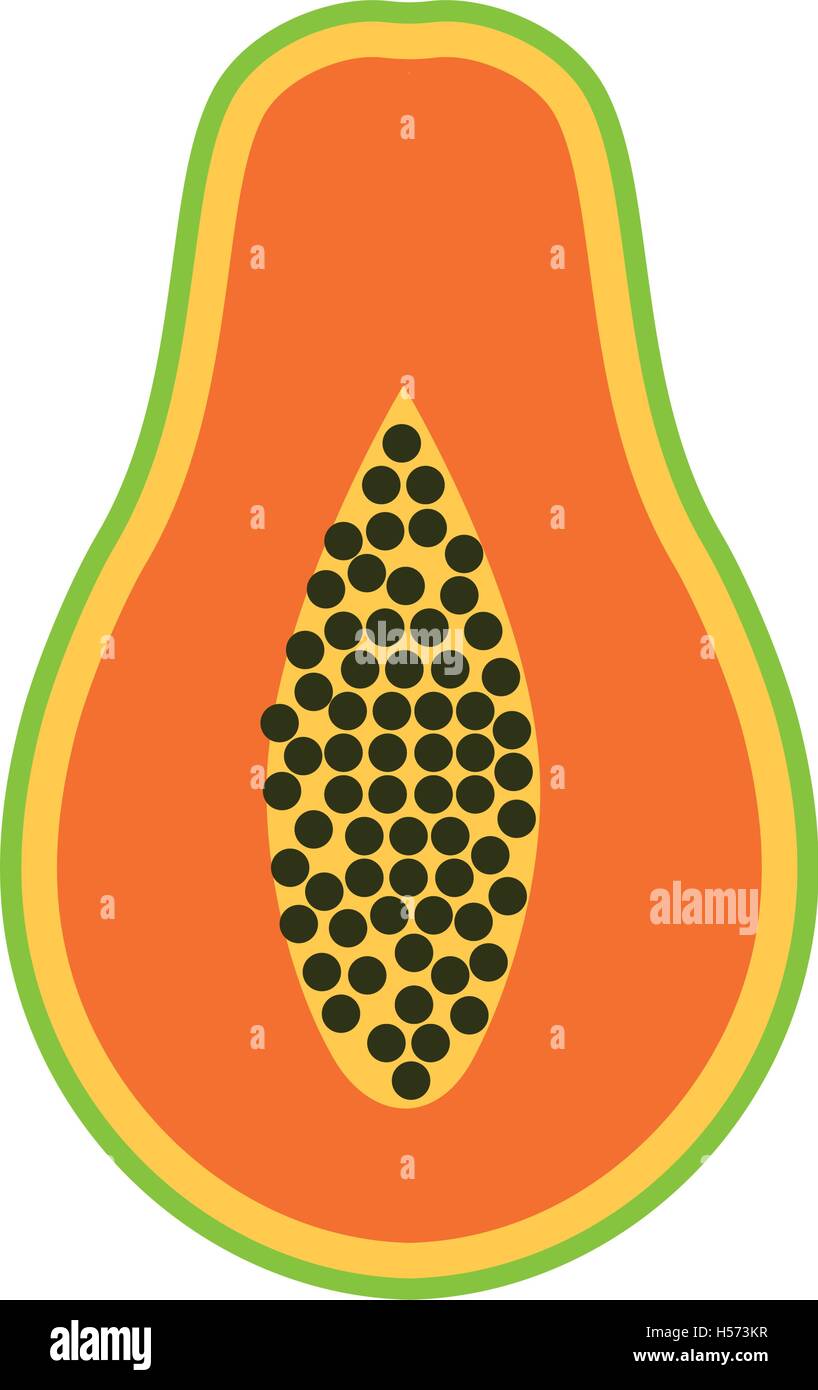 papaya tropical fruit icon Stock Vector Image & Art - Alamy