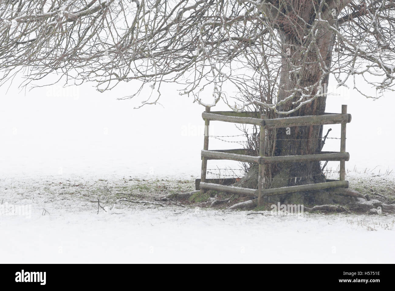 surreal winter landscape Stock Photo - Alamy