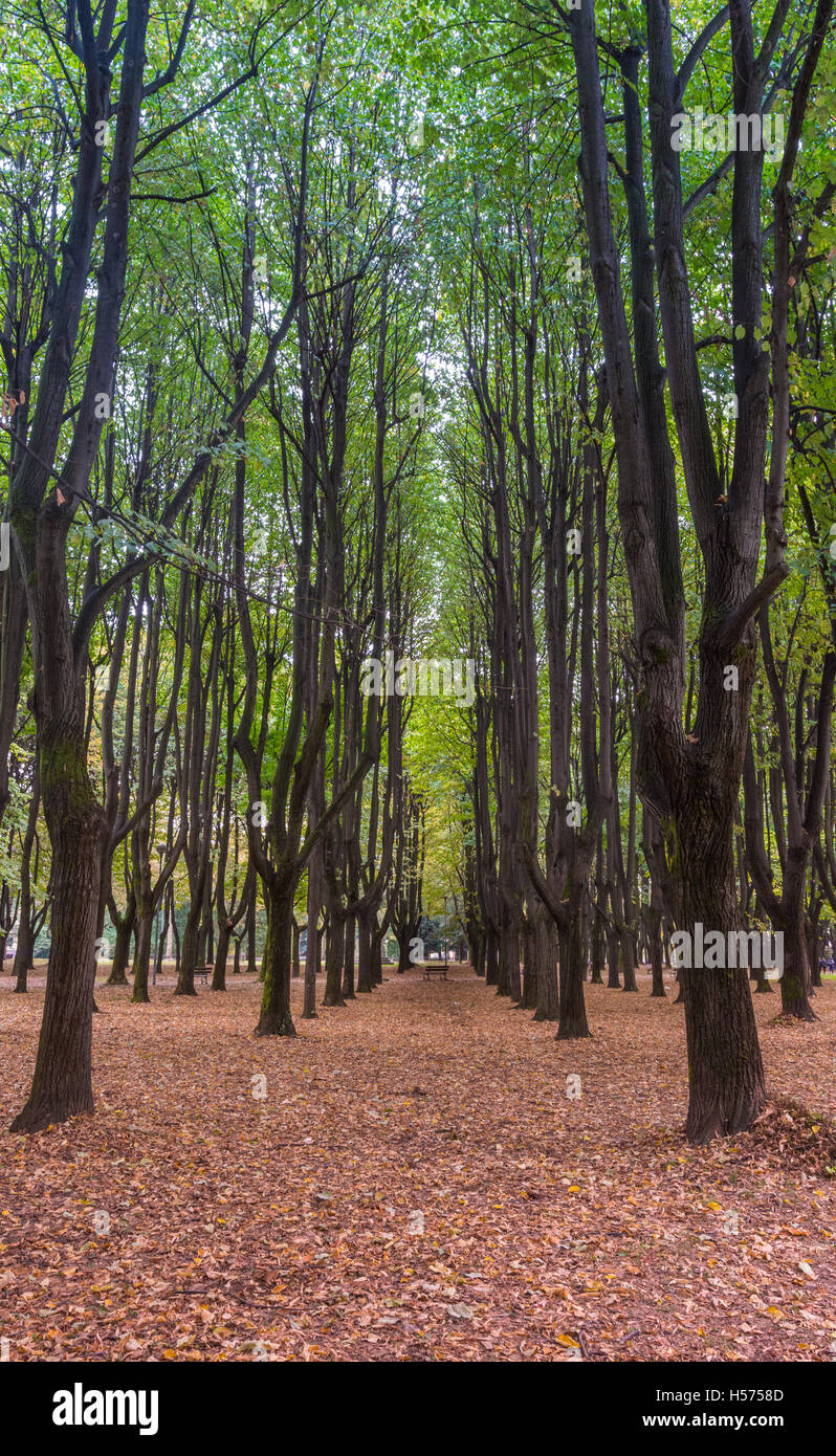 Monza Park (Parco di Monza) a large walled park in Monza, Lombardy ...