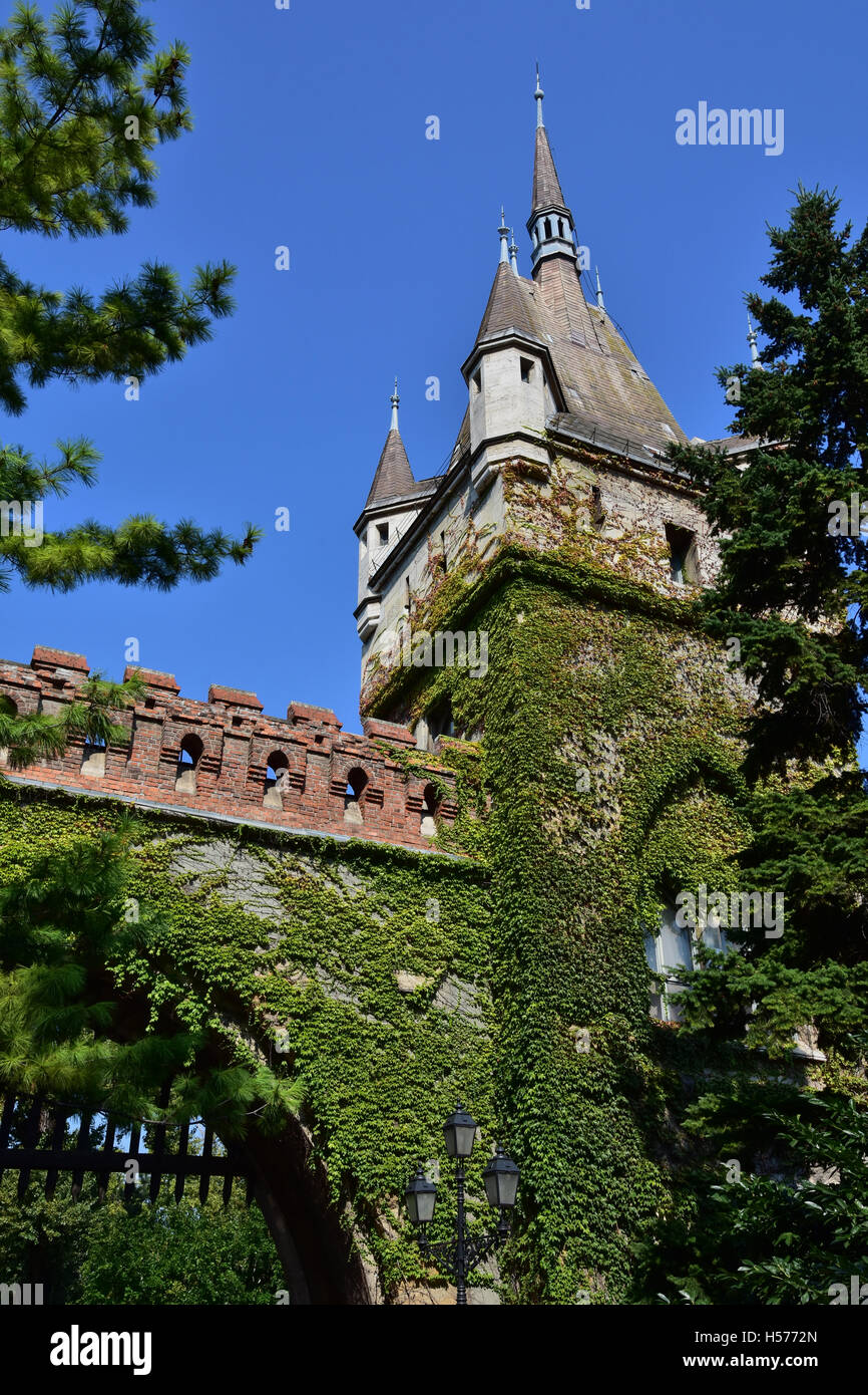 Tower and gate of Vajdahunyad Castle, an old Romanian medieval castle ...