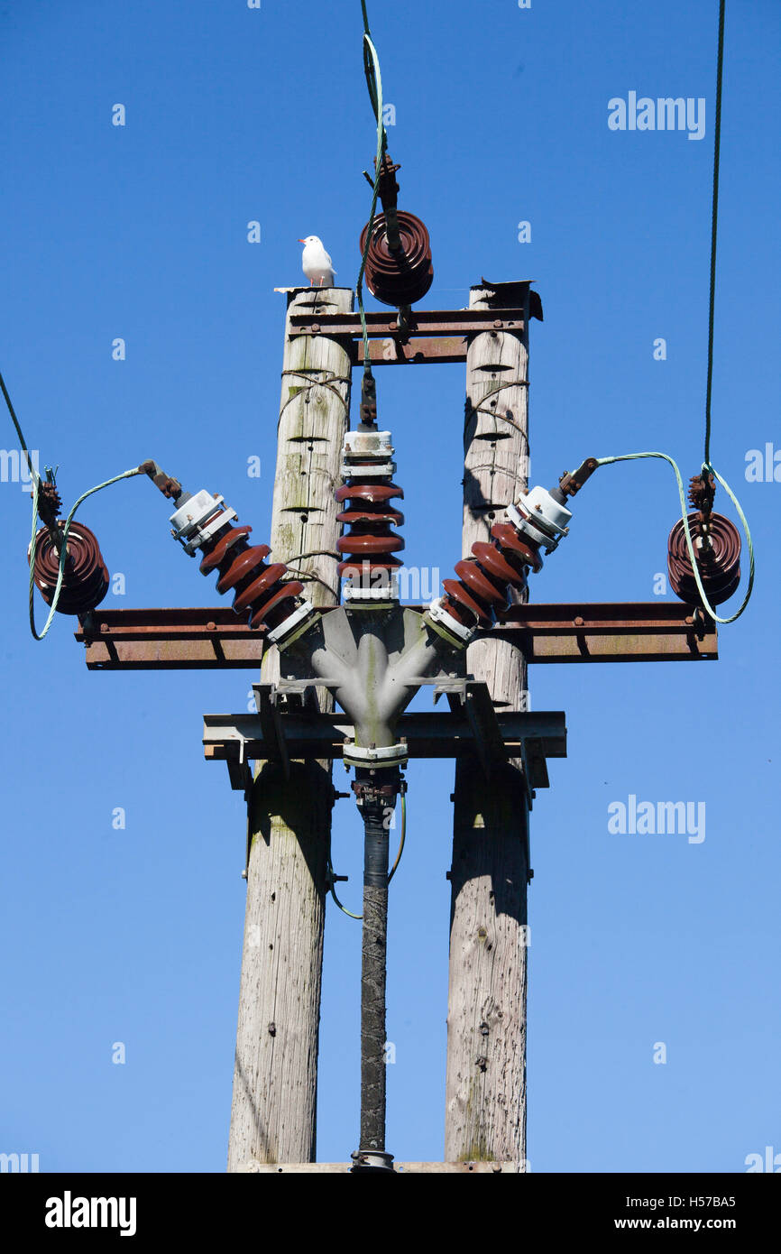 Wooden electricity pylon hi-res stock photography and images - Alamy