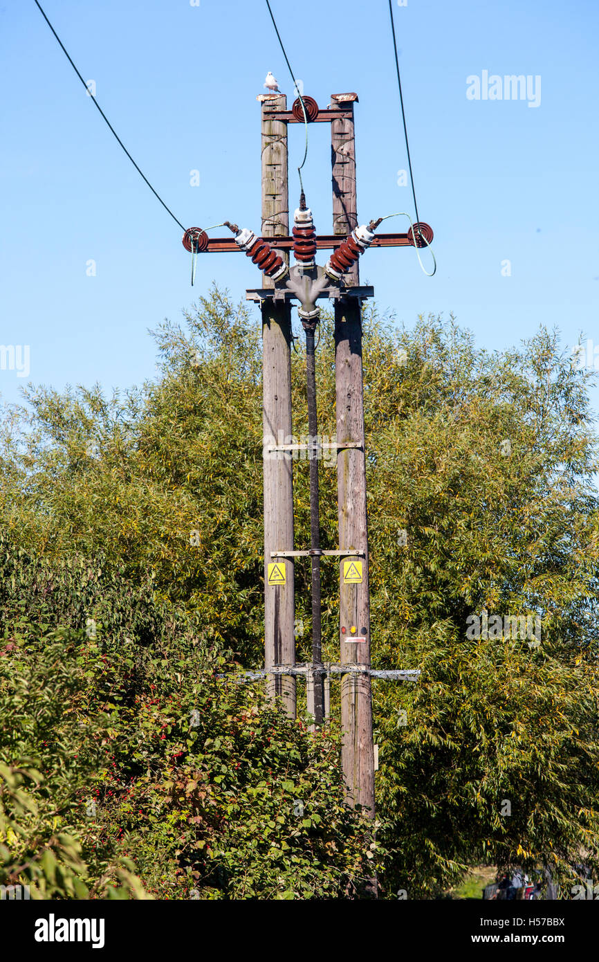 Wooden electricity pylon hi-res stock photography and images - Alamy