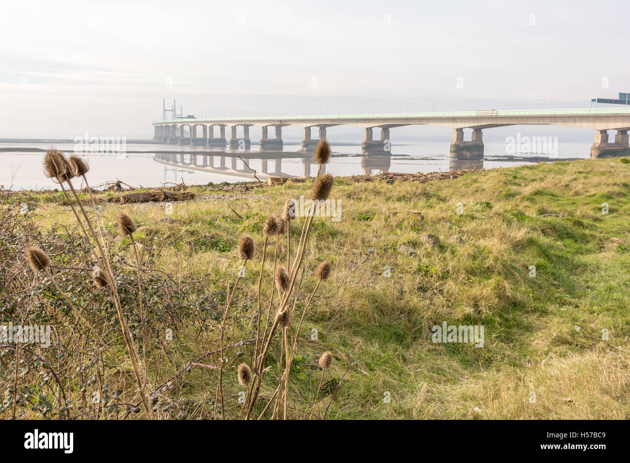 Severn beach hi-res stock photography and images - Alamy