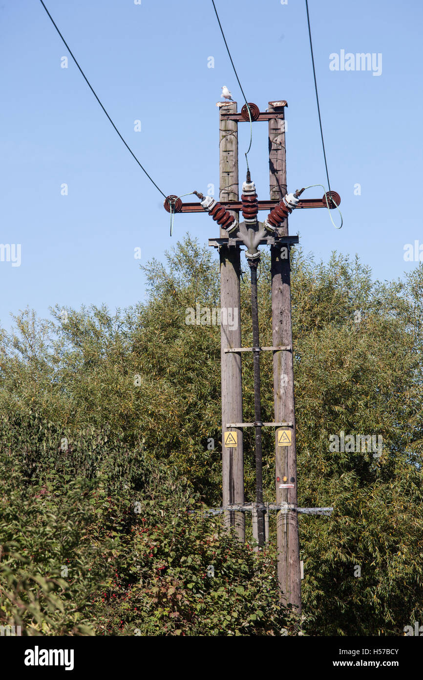 Wooden Electricity Pylon High Resolution Stock Photography and Images ...