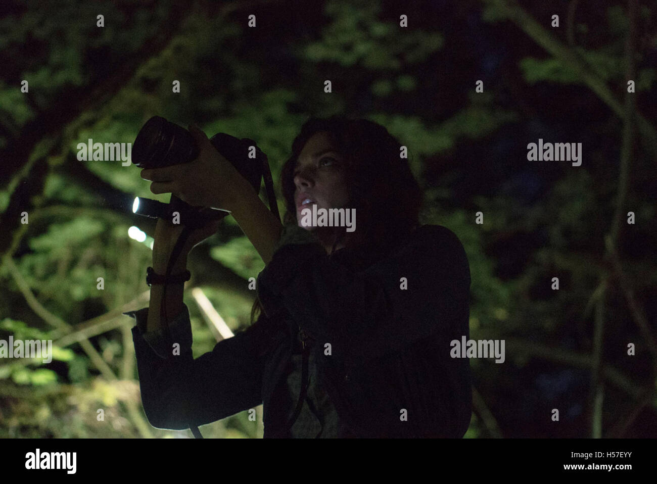 BLAIR WITCH (2016) CALLIE HERNANDEZ ADAM WINGARD (DIR) MOVIESTORE ...