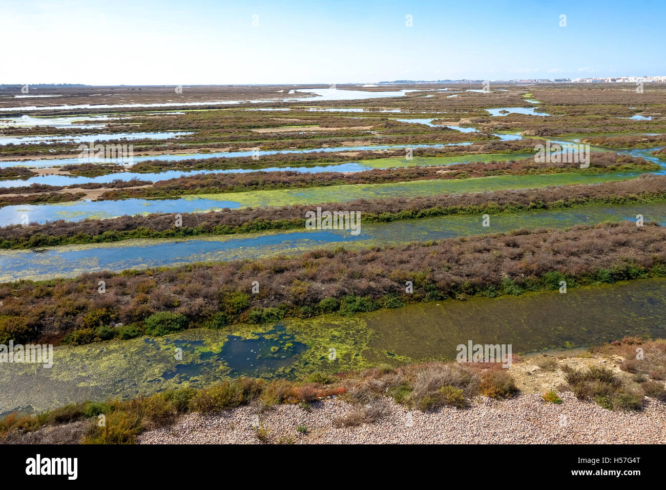 Marshe hi-res stock photography and images - Alamy