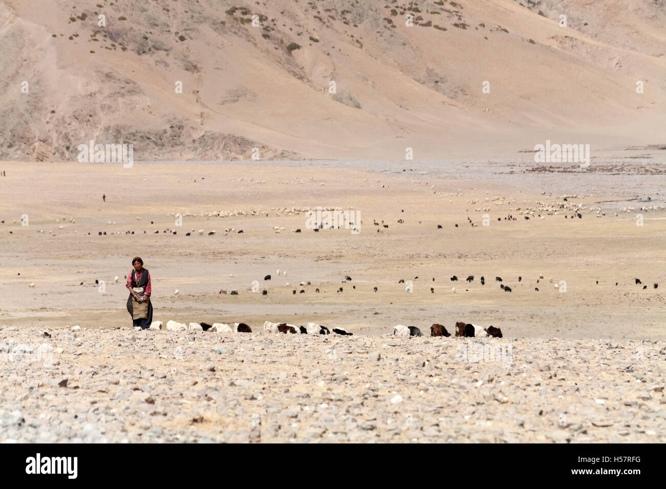 Beautiful shepherdess hi-res stock photography and images - Alamy