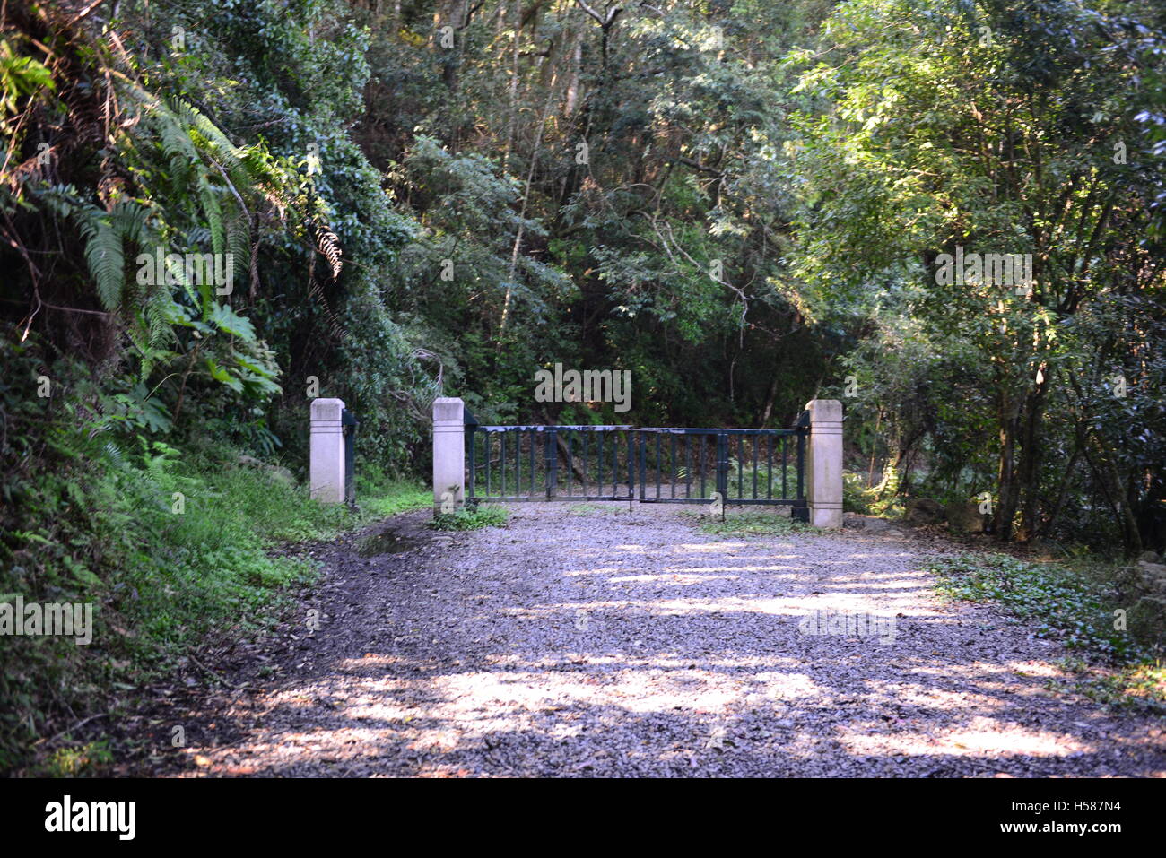 The trees are ever so green Stock Photo - Alamy