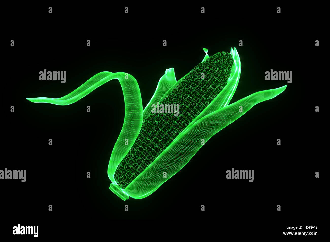 Corn in Hologram Wireframe Style. Nice 3D Rendering Stock Photo - Alamy