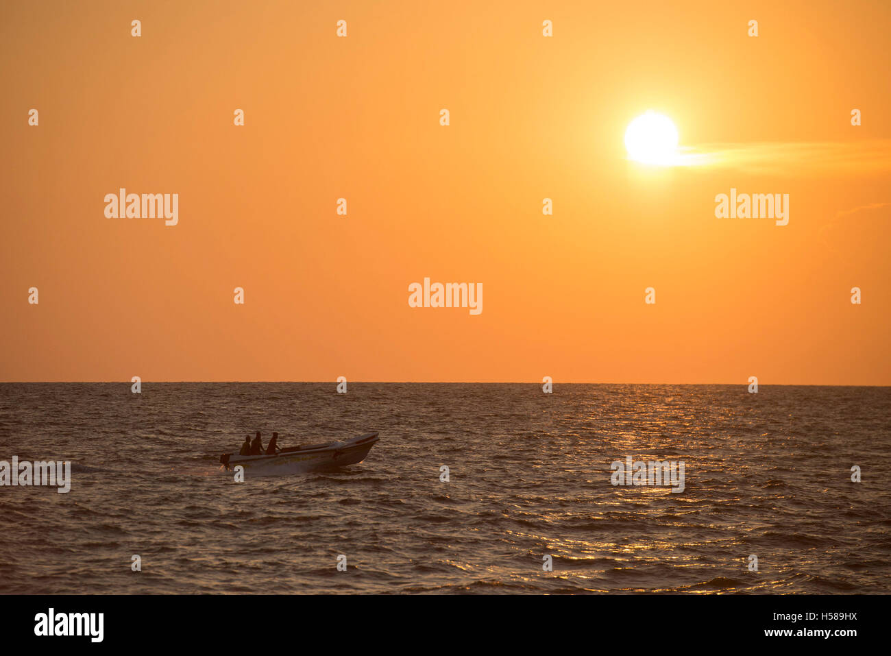 Fishing boat at sunset, Kalpitiya peninsula, Sri Lanka Stock Photo - Alamy