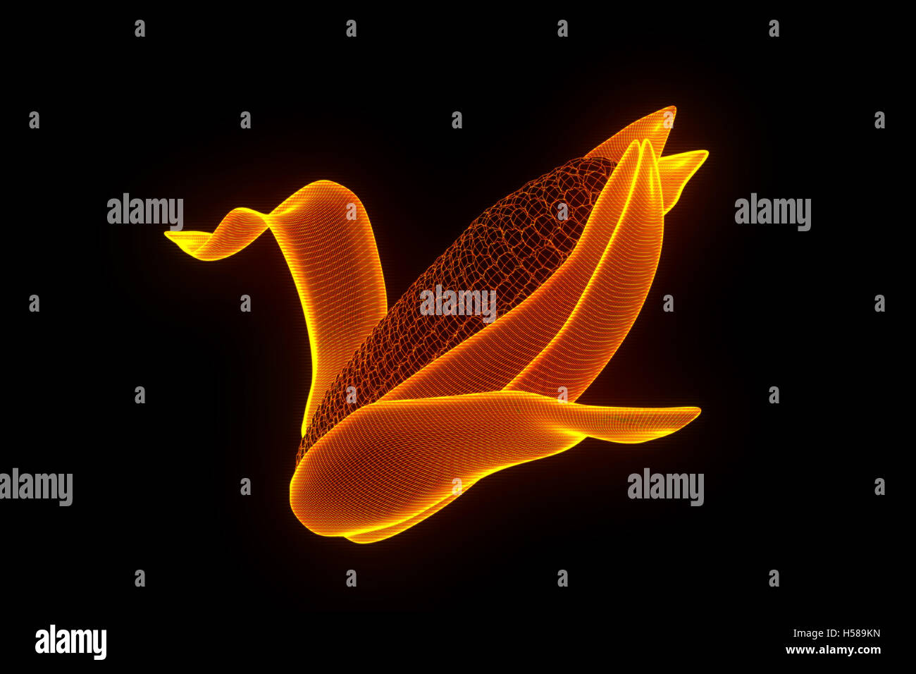 Corn in Hologram Wireframe Style. Nice 3D Rendering Stock Photo - Alamy