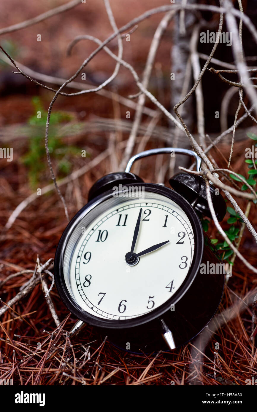 closeup of an alarm clock in the ground of a forest in autumn Stock ...