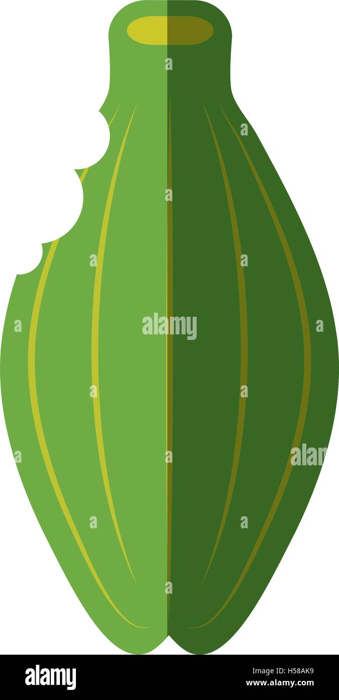 papaya tropical fruit icon Stock Vector Image & Art - Alamy