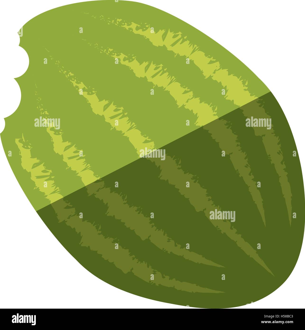 Watermelon icon image flat Stock Vector Images - Alamy